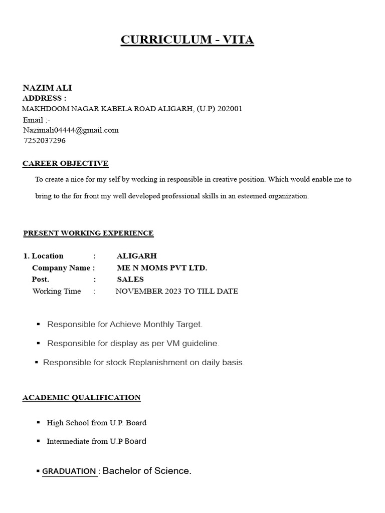 Nazim Ali's Professional CV Summary | PDF