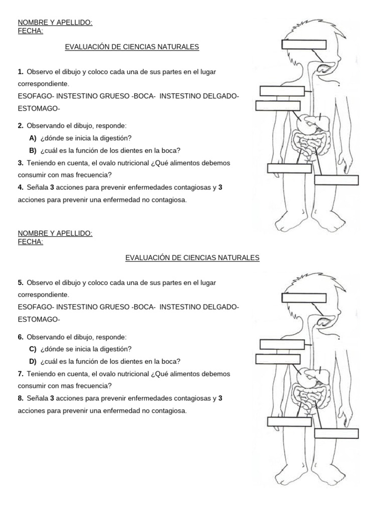 Evaluacion de Nuestro Cuerpo | PDF | Salud y bienestar