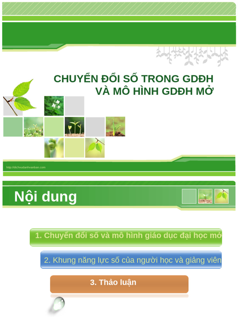 Chuyen Doi So Trong GDDH Va Phat Trien Mo Hinh GDDH Mo | PDF
