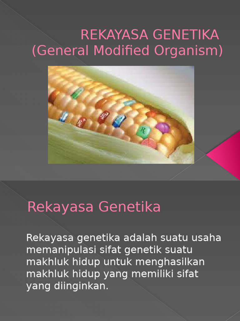 Rekayasa Genetika | PDF