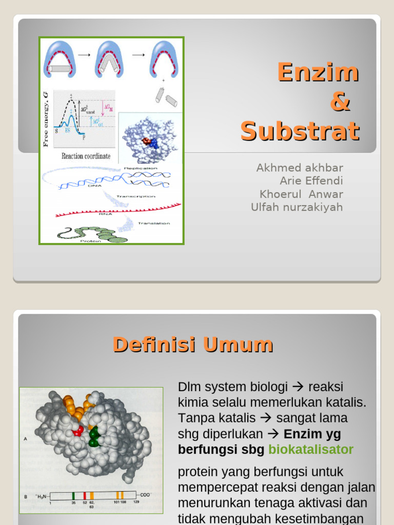 Enzim | PDF | Sains & Matematika