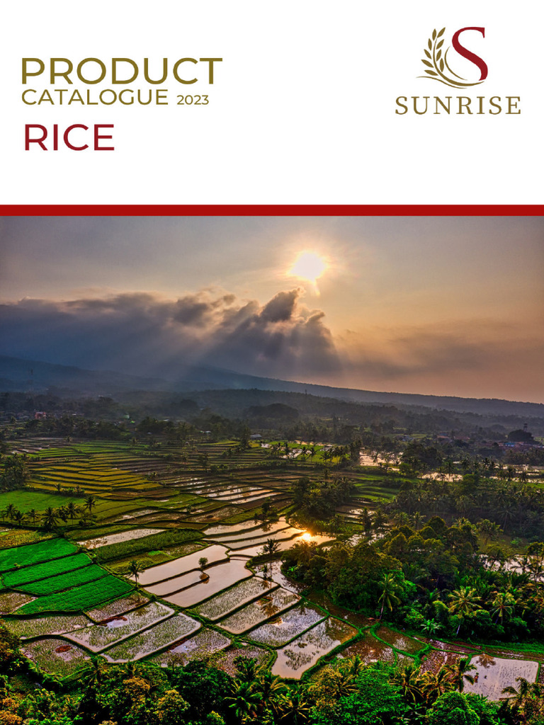 Catalog Sunrise | PDF