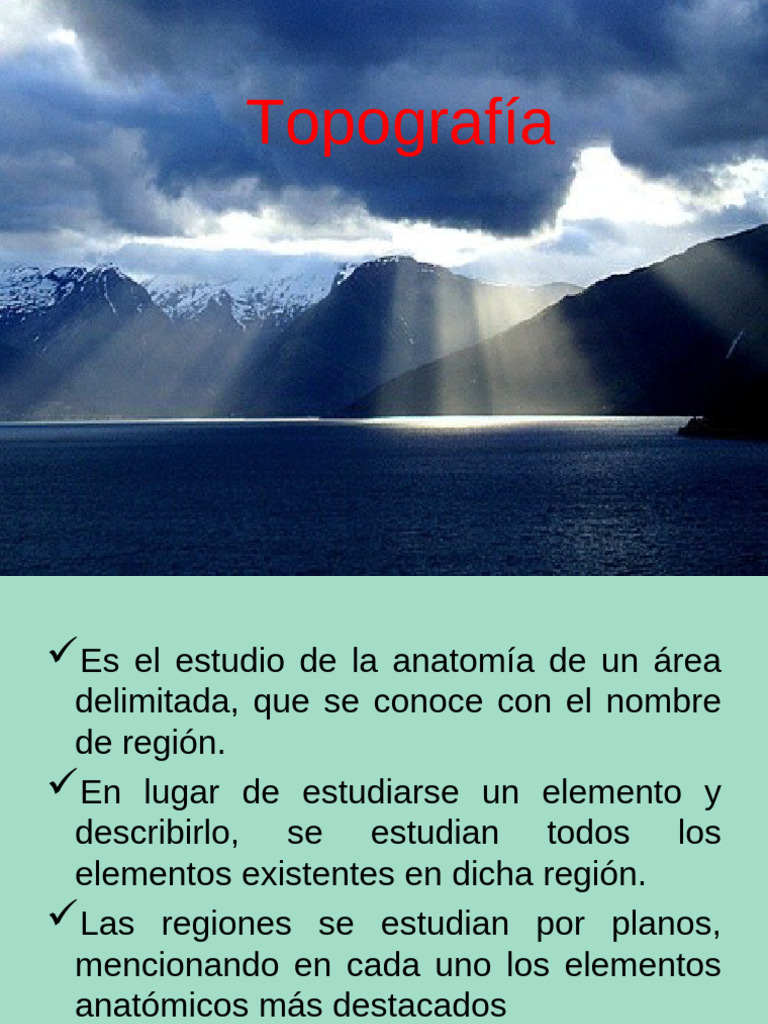 001 - Generalidades y Region Occipitofrontal - Copia-2 | PDF | Músculo ...