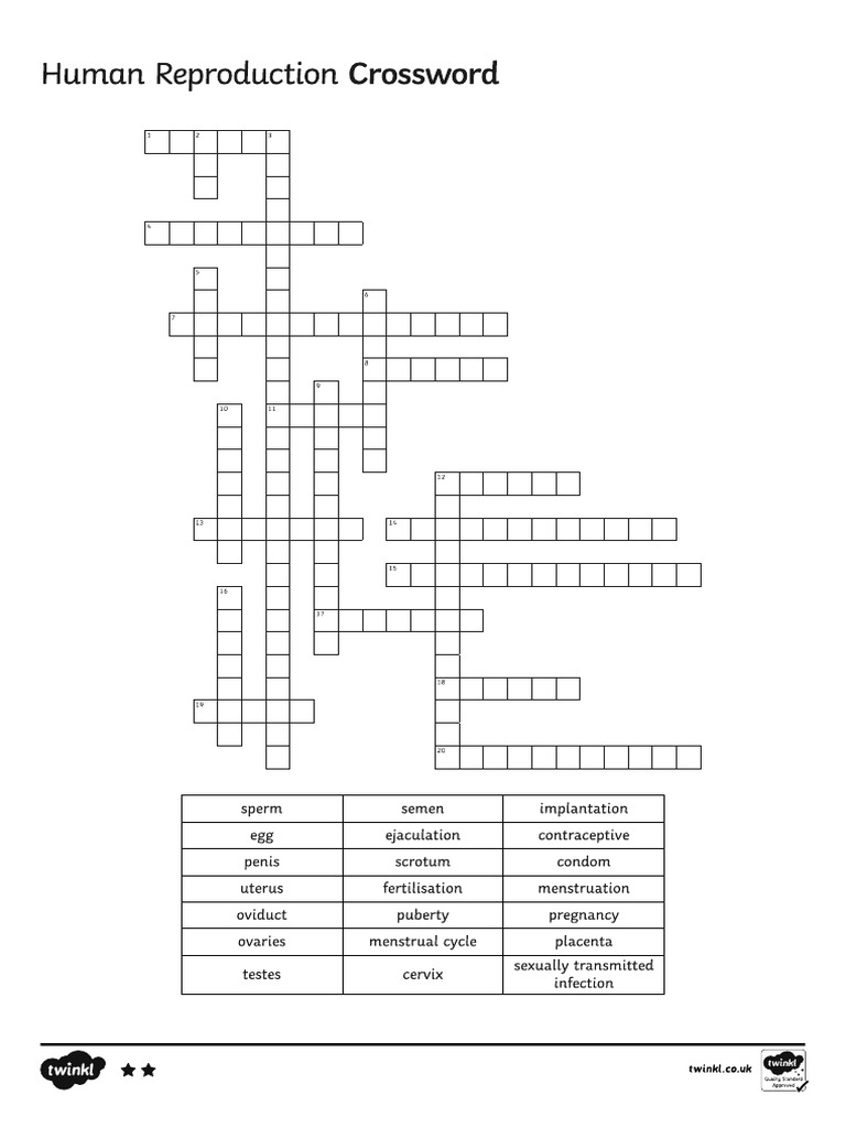 Human Reproduction Crossword 2 | PDF