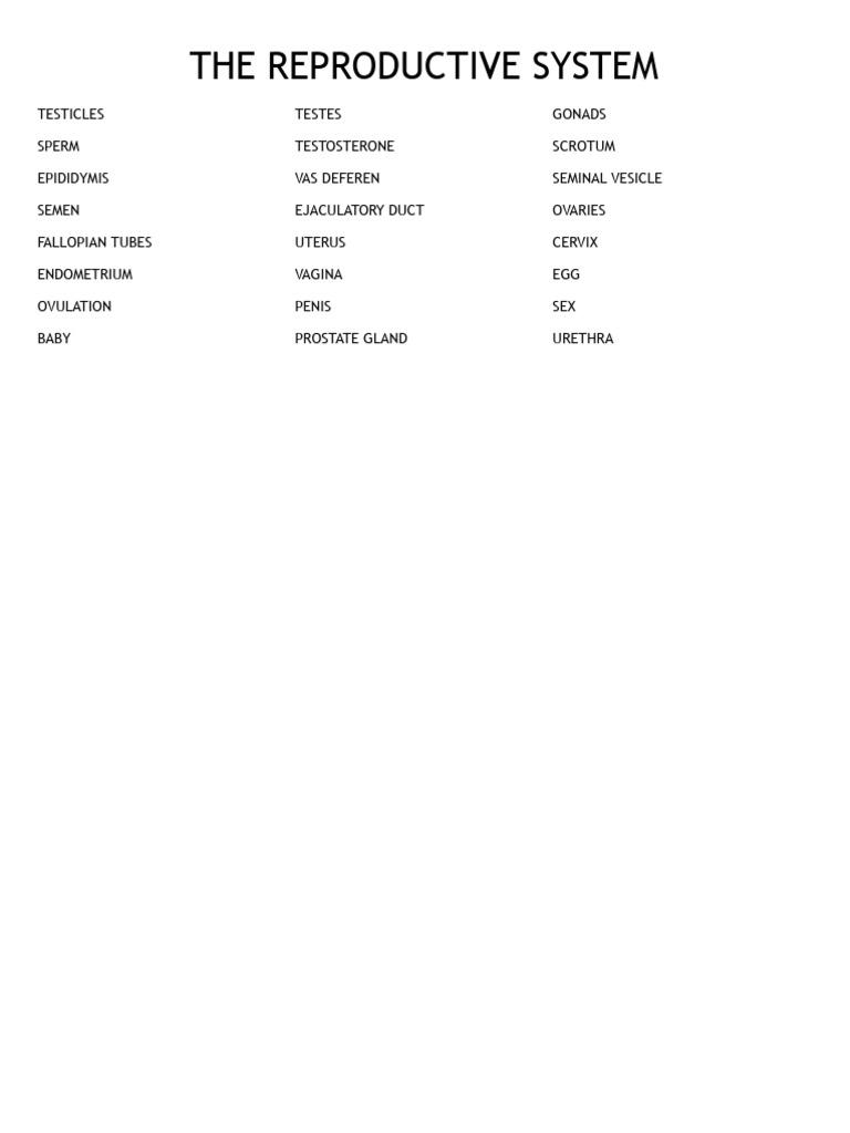 The Reproductive System Answer Key | PDF