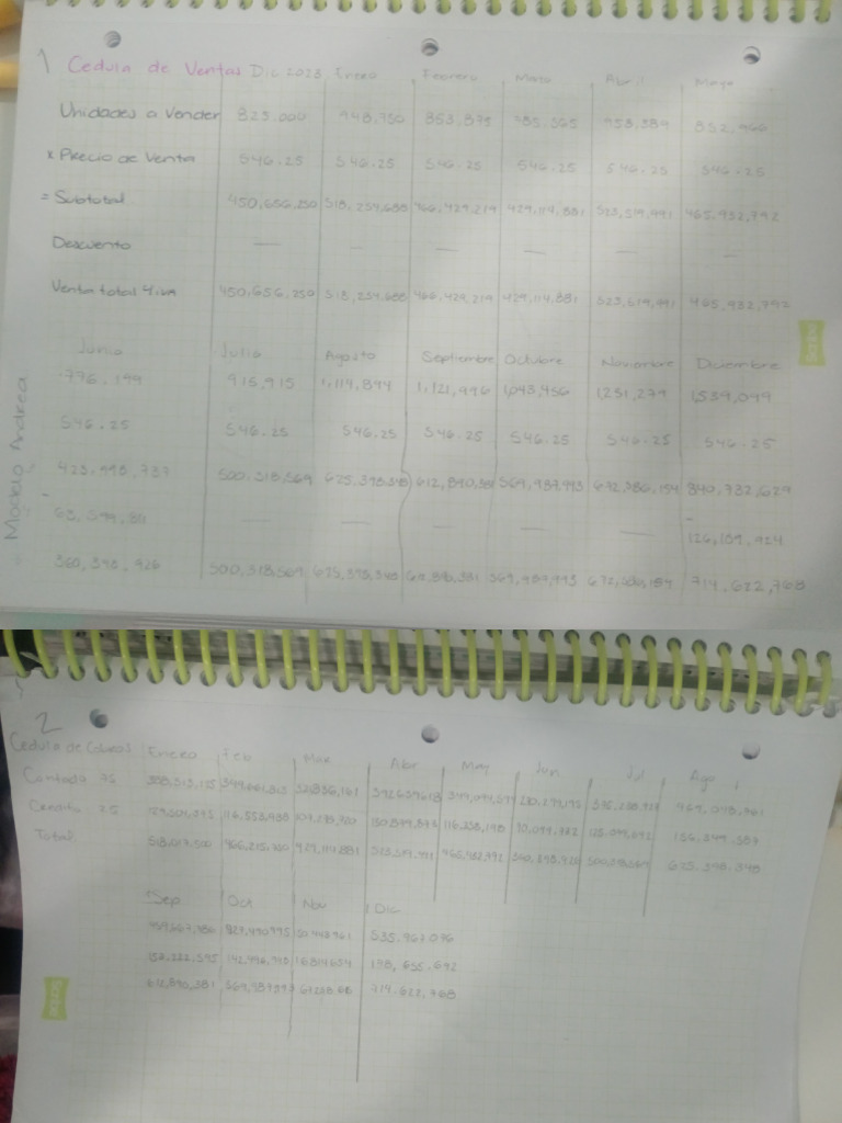 Cédulas Andrea | PDF