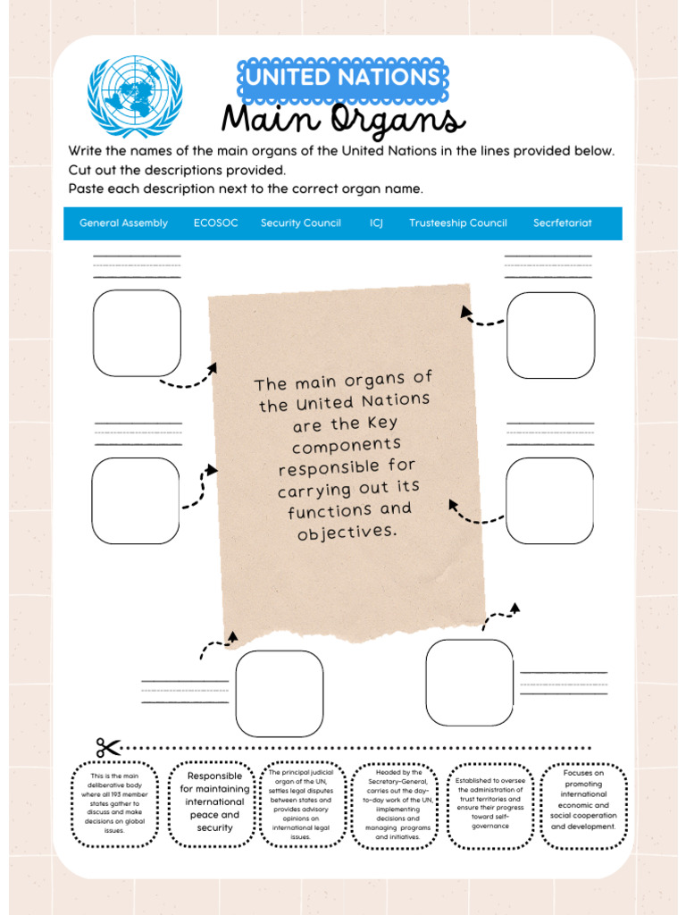 1º UN Main Organs Worksheet | PDF | United Nations | International ...