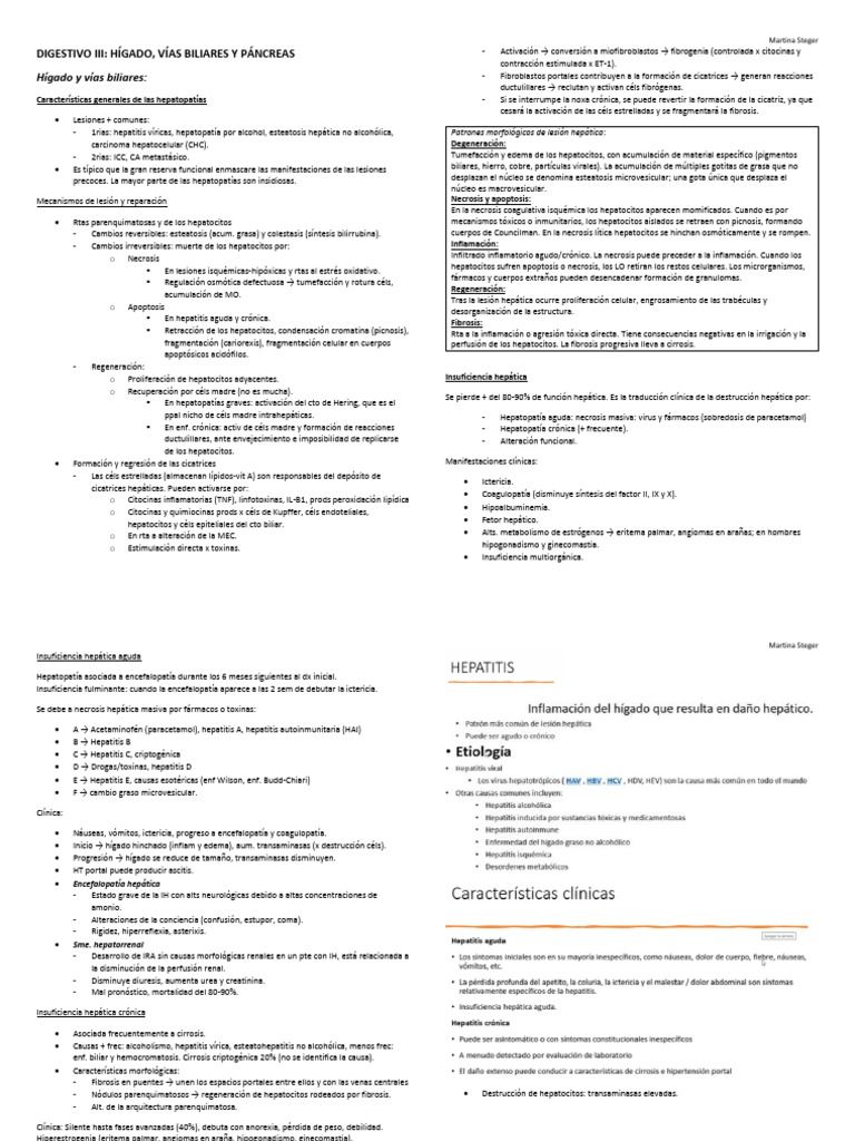 Digestivo III - Hígado, VB, Páncreas | PDF | Cirrosis | Hepatitis