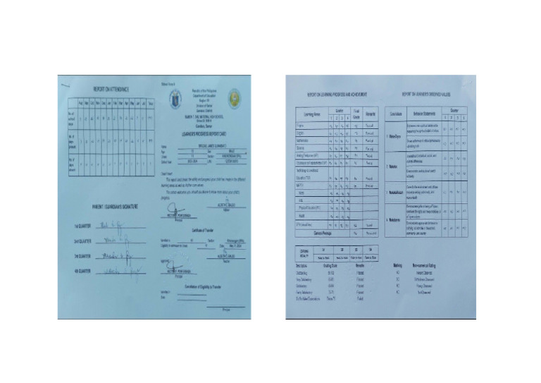 Grade 10 Report Card | PDF