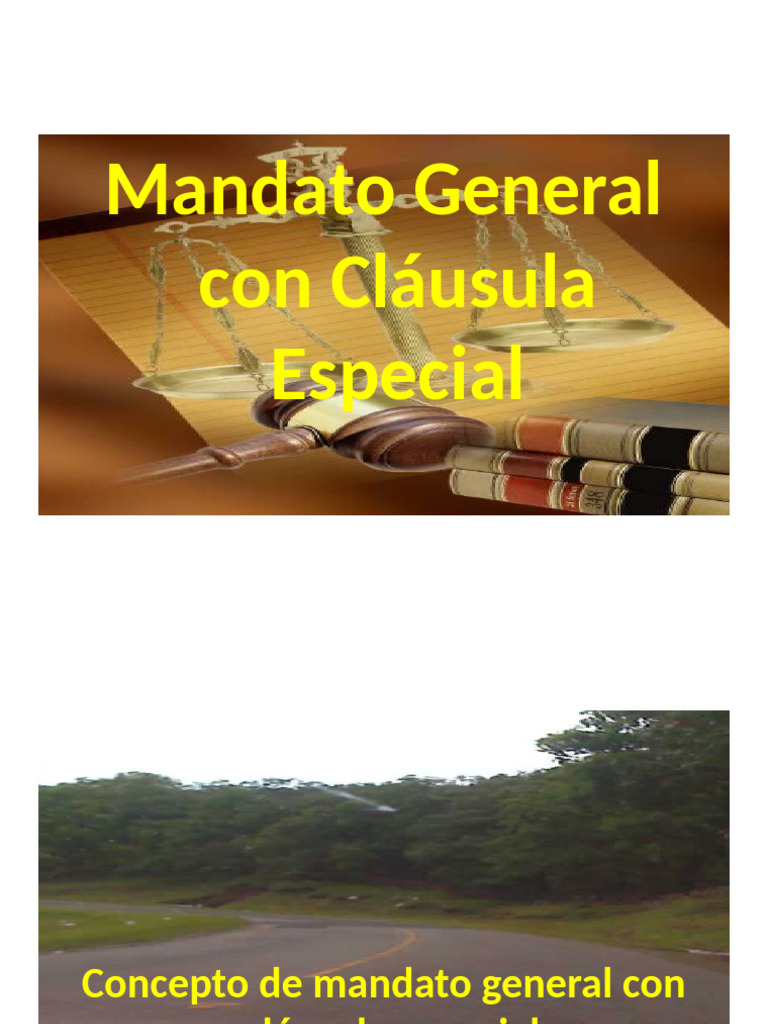 Mandato General Con Cláusula Especial. DNII 2021 | PDF | Política | Derecho