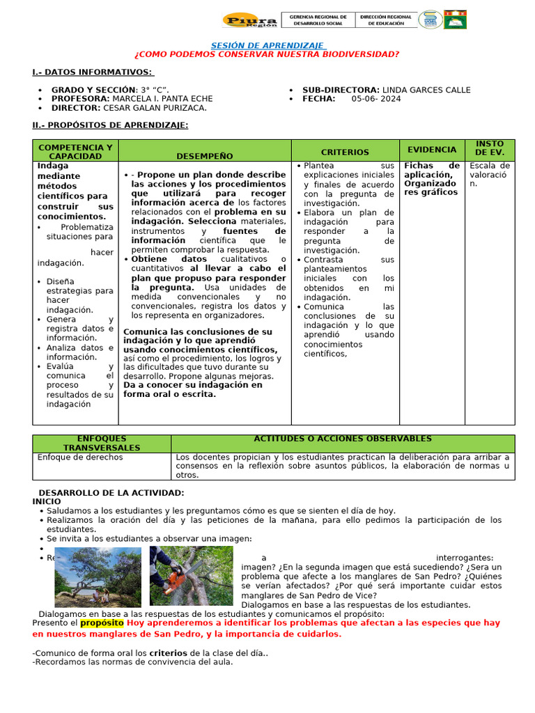 Sesión Cyt-Cuidado de La Biodiversidad-1 | PDF | Entorno natural | Mangle