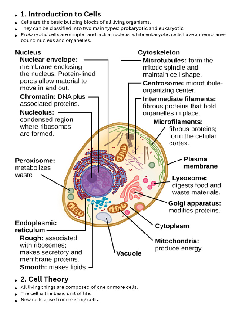 Introduction To Cells PDF | PDF | Social Science