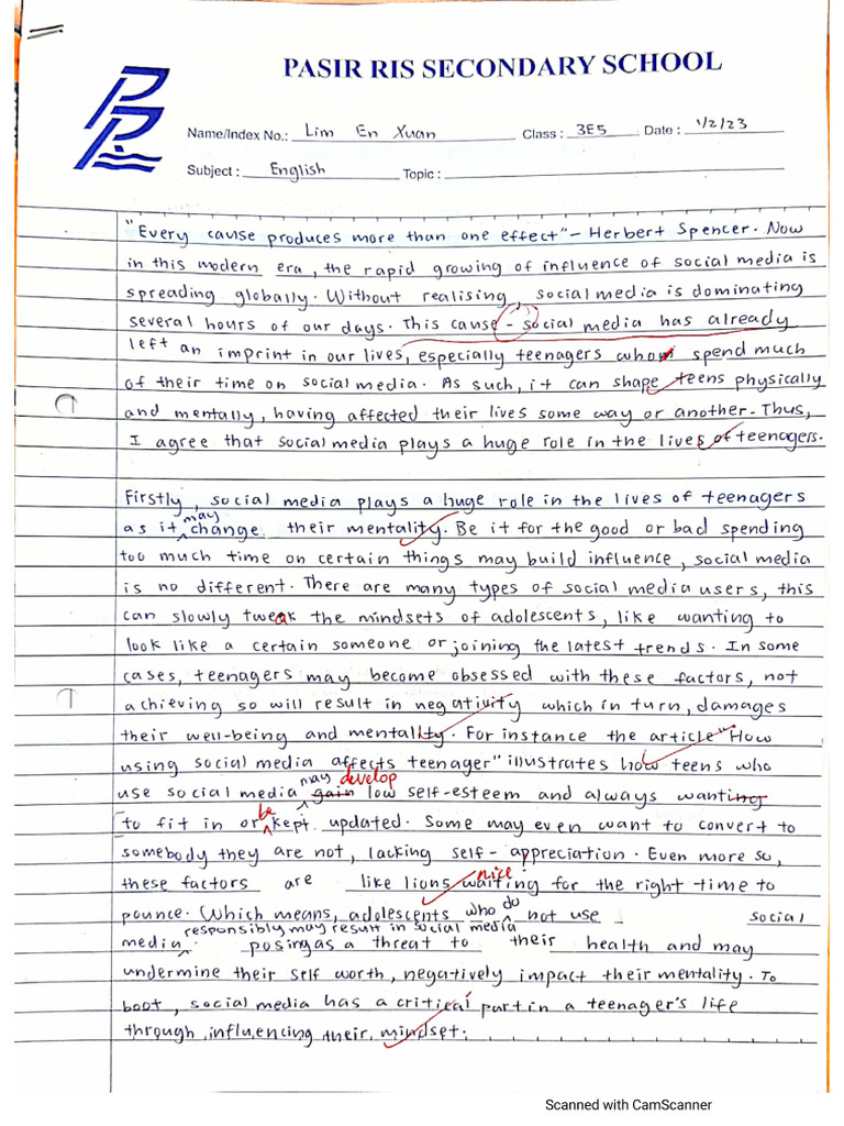 3e5 Social Media Essay | PDF