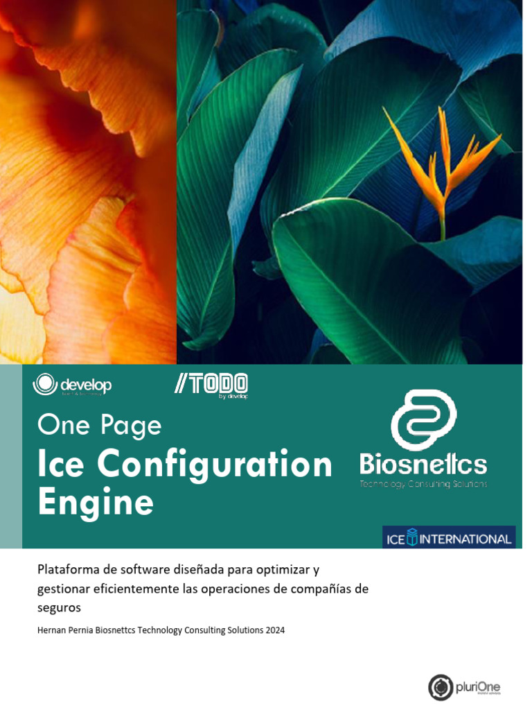 Descripcion Sistema Ice Configuration Engine | PDF | Seguro | Software