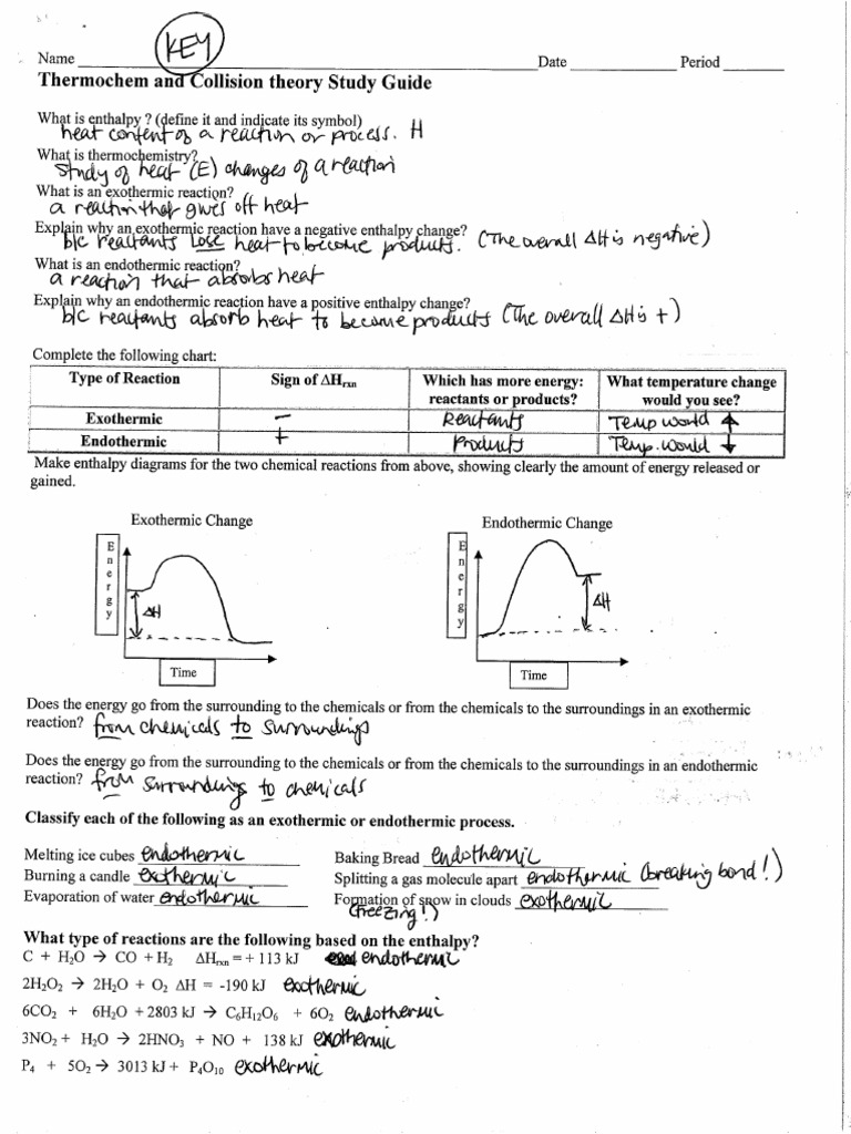 thermo_study_guide_key | PDF