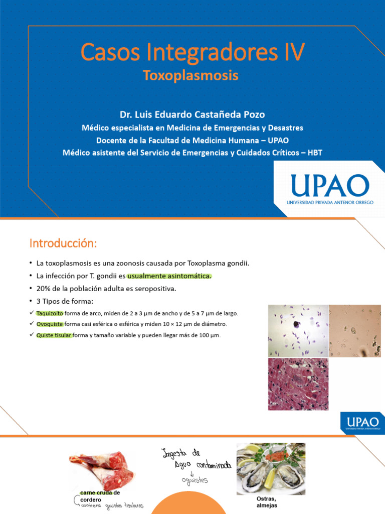 Toxoplasmosis s9 1 | PDF | Enfermedades y trastornos | Especialidades Medicas