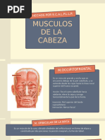 Función y Anatomía del Músculo Mentoniano | PDF | Cara | Anatomía humana