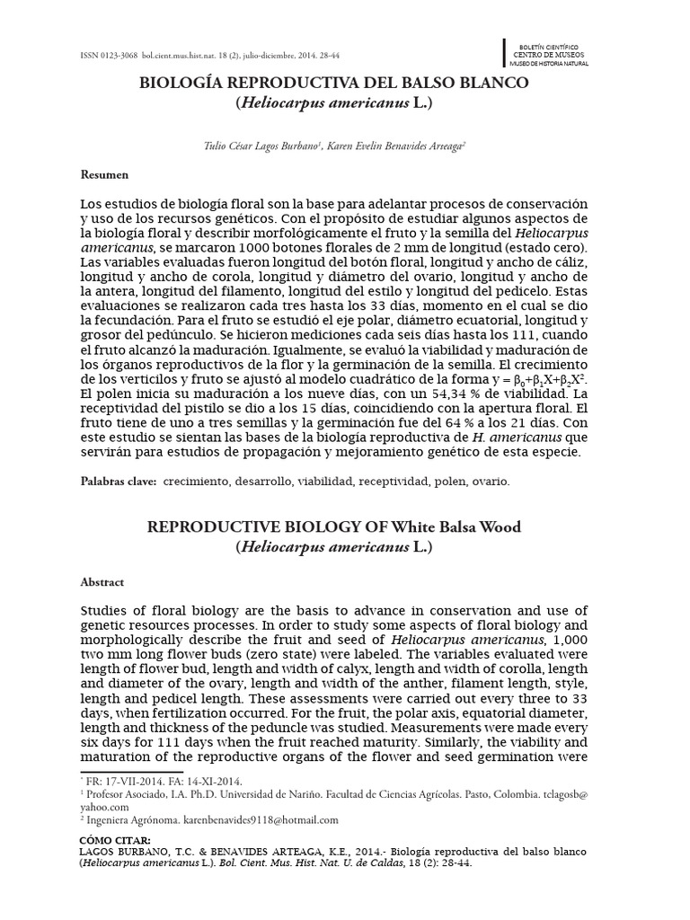 Biología Reproductiva del Balso Blanco | PDF | Flores | Semilla