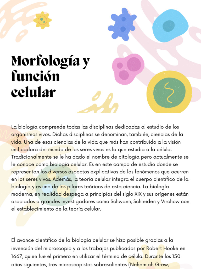 Morfología Celular | PDF | Biología Celular) | Citoplasma
