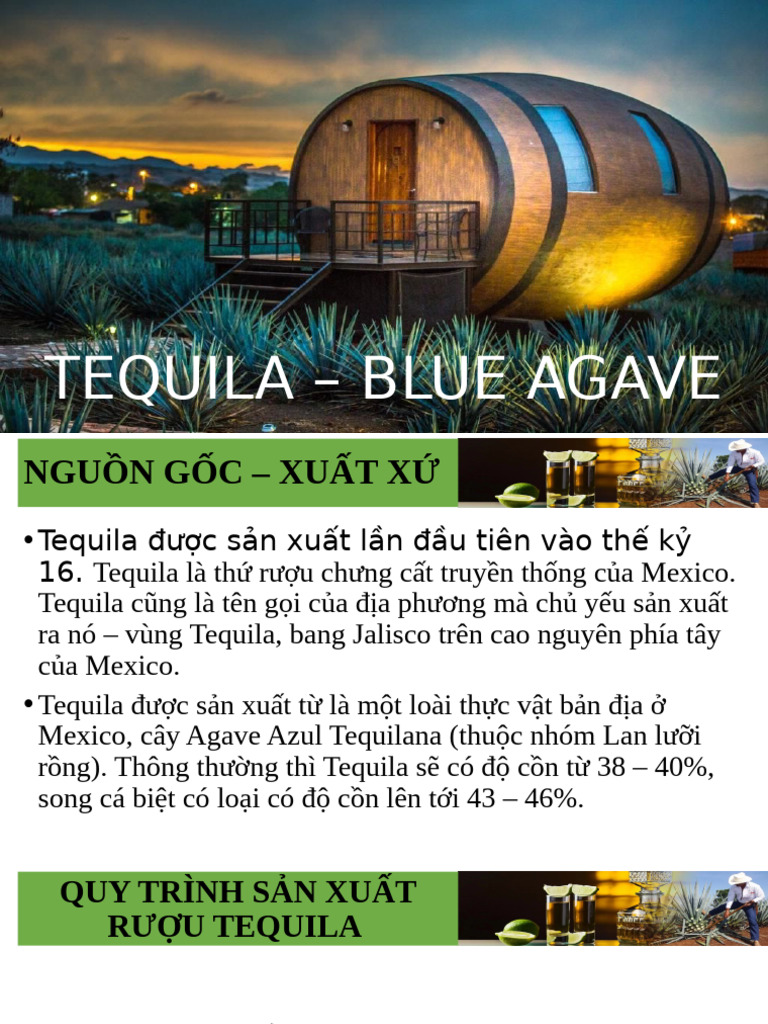 Tequila | PDF