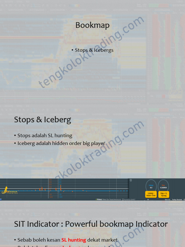DestarGO Destar Bookmap SIT Indicator Rev3 | PDF