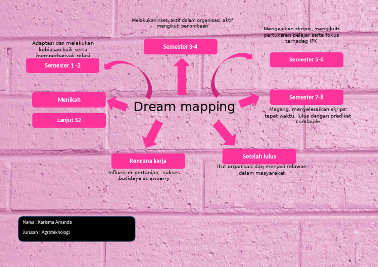 Dream Mapping | PDF