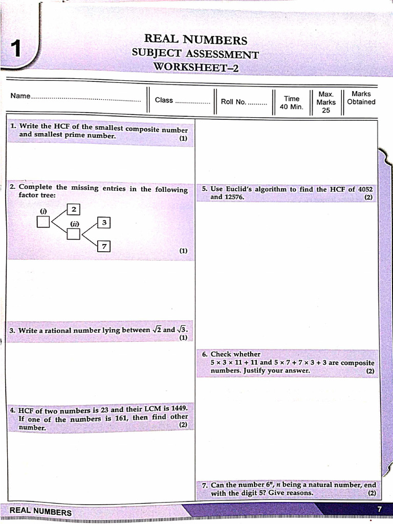PullOut Worksheets Questions | PDF