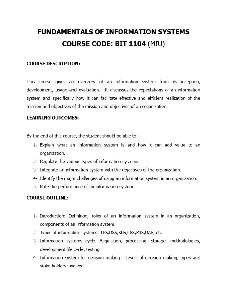 Overview of Information Systems Course | PDF