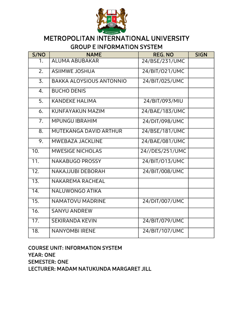 Information System Group E Course Work | PDF | Analytics | Marketing