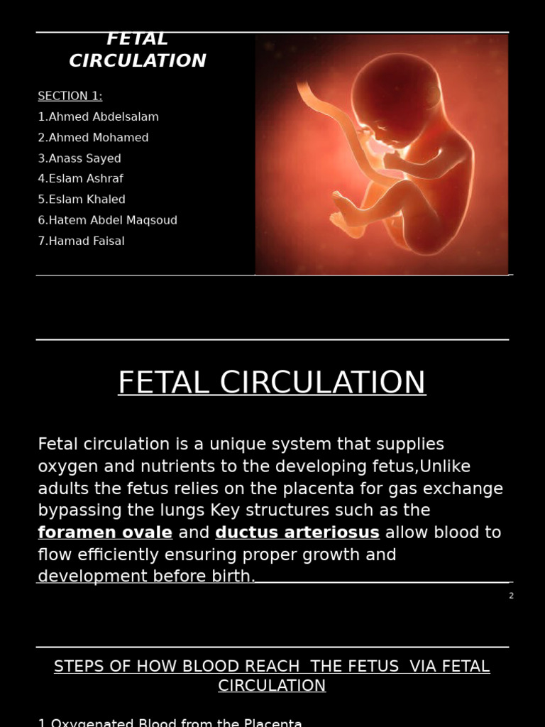 Understanding Fetal Circulation Mechanisms | PDF | Fetus ...