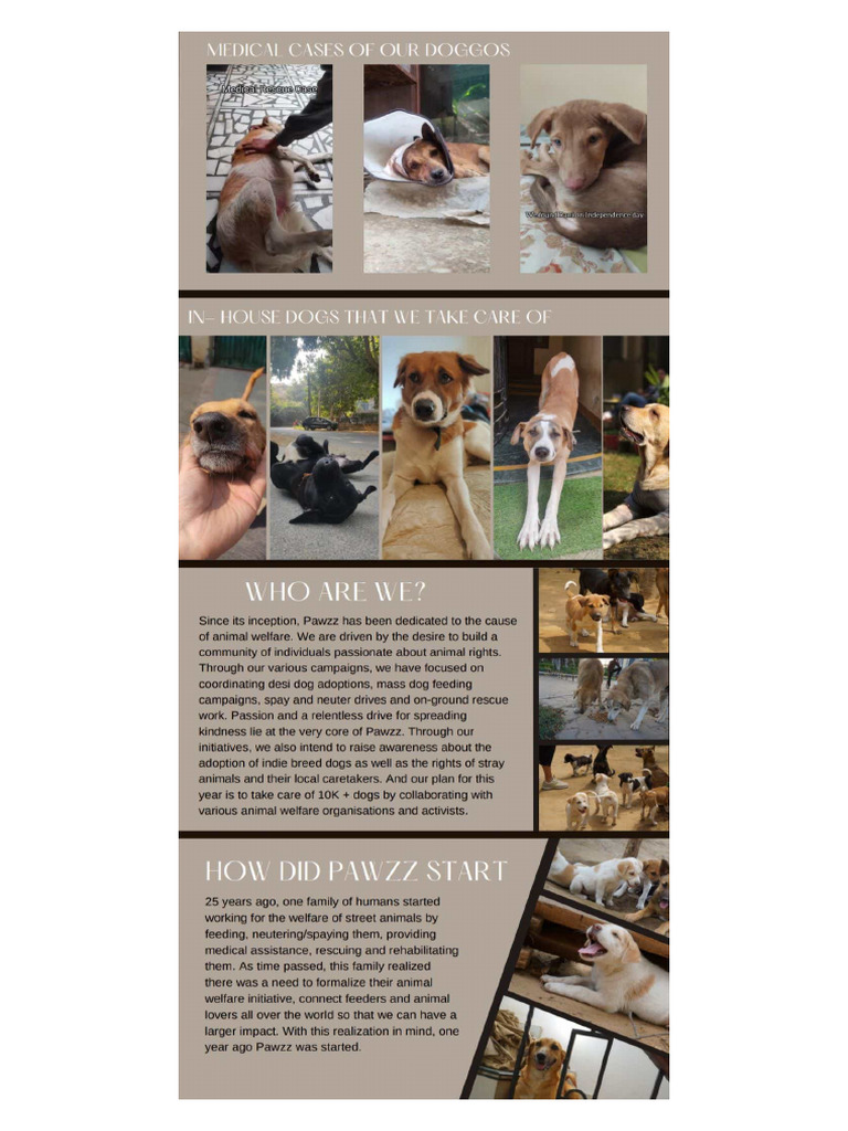 NGO Vision | PDF