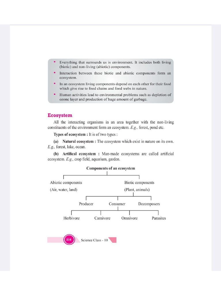 class 10 science ch 13 | PDF