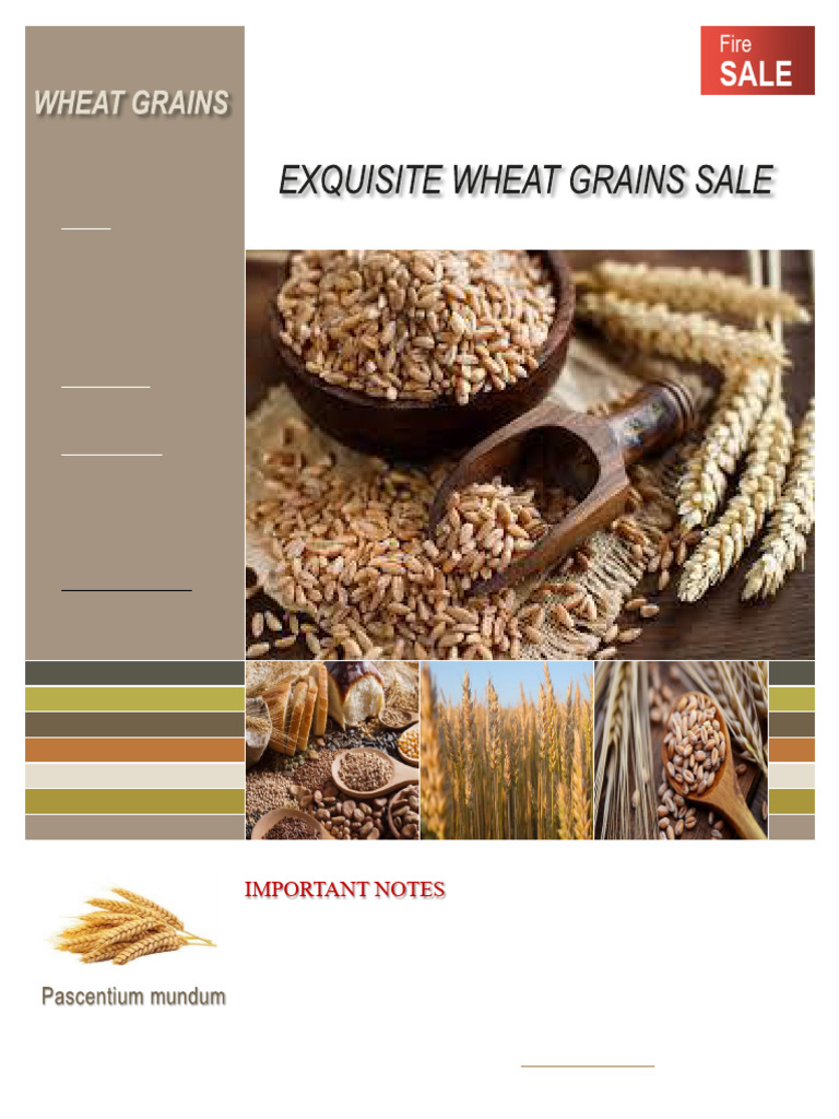 WHEAT GRAINS | PDF