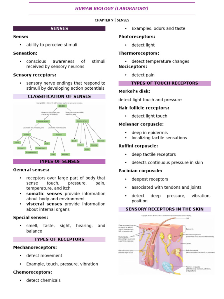 SENSES | PDF | Senses | Ear SENSES | PDF | Senses | Ear