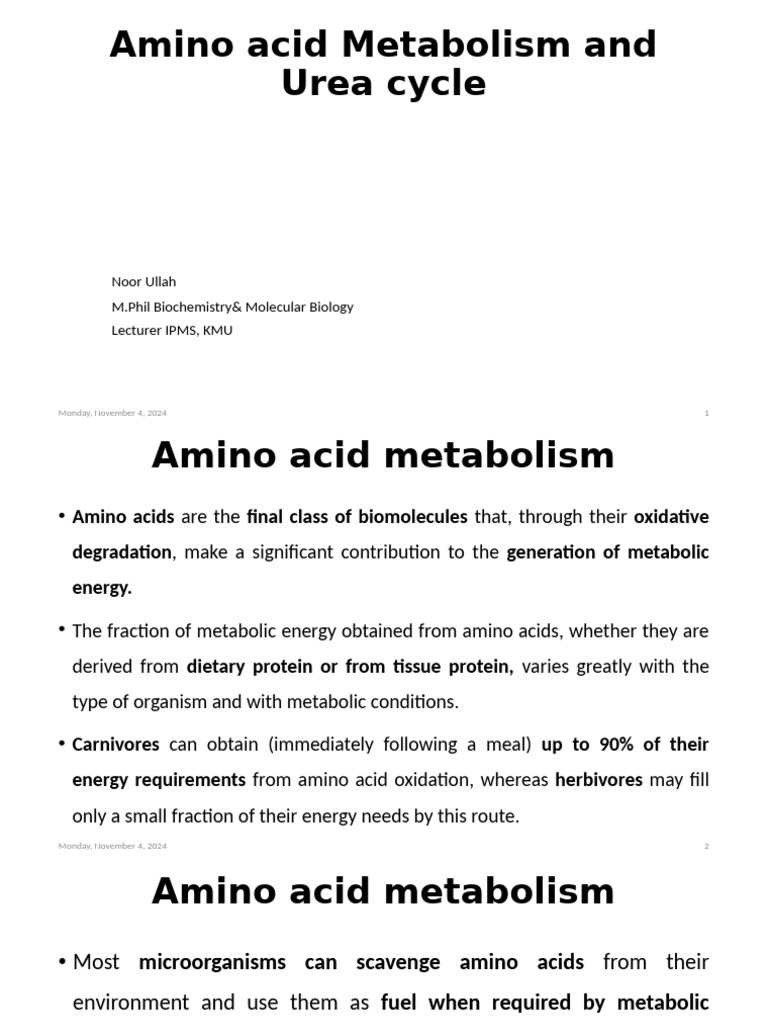 Amino Acid Meatbolism and Urea Cycle | PDF | Metabolism | Transaminase