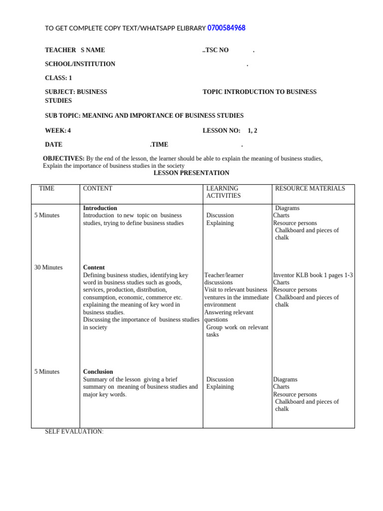New Business Lesson Plan | PDF | Digital Library | Lesson Plan
