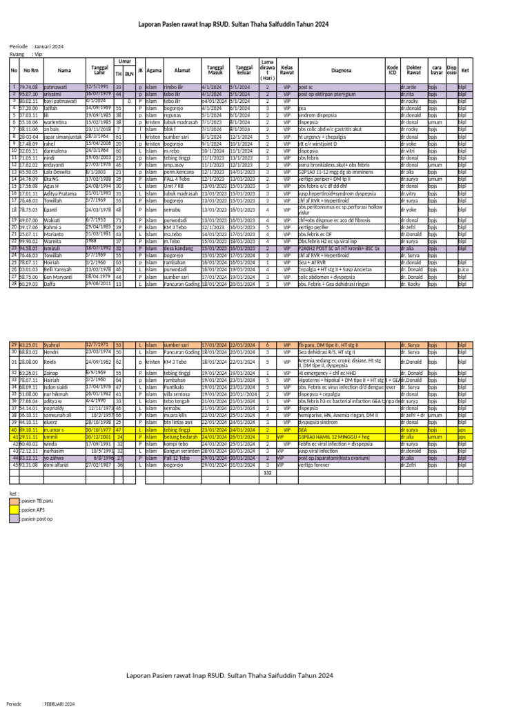 LAPORAN SENSUS PASIEN BARU 2024 | PDF | Diseases And Disorders | Clinical Medicine