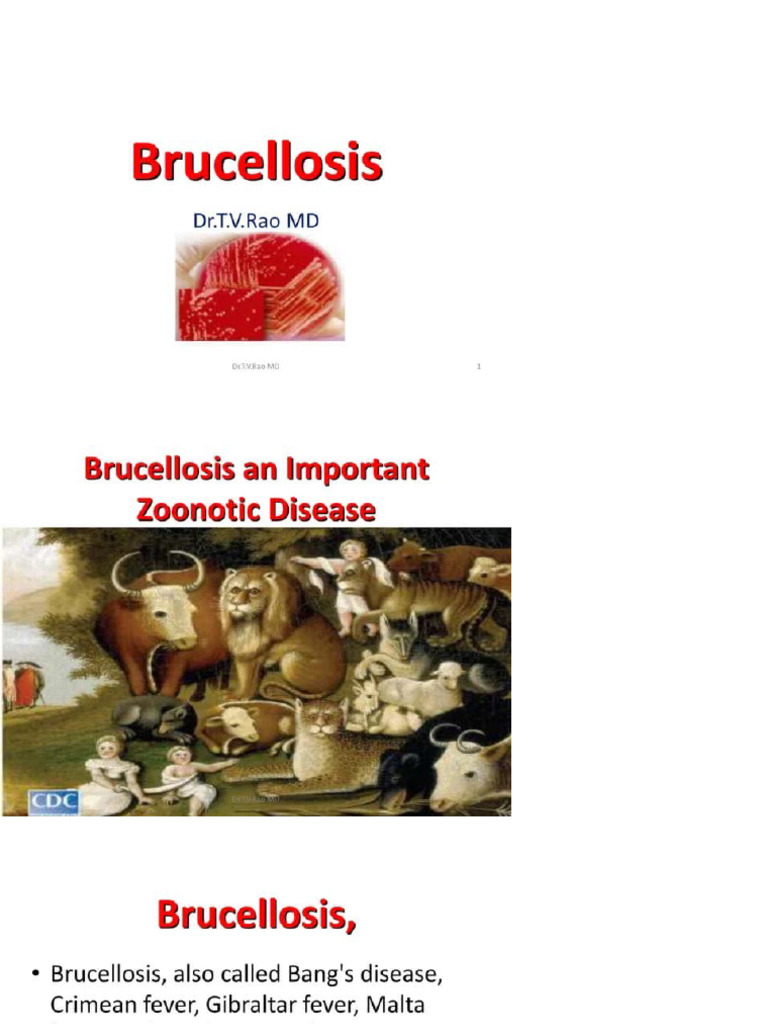 Brucella | PDF