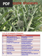 Walk Thru Inspection Template | PDF | Pest Control | Pest (Organism)