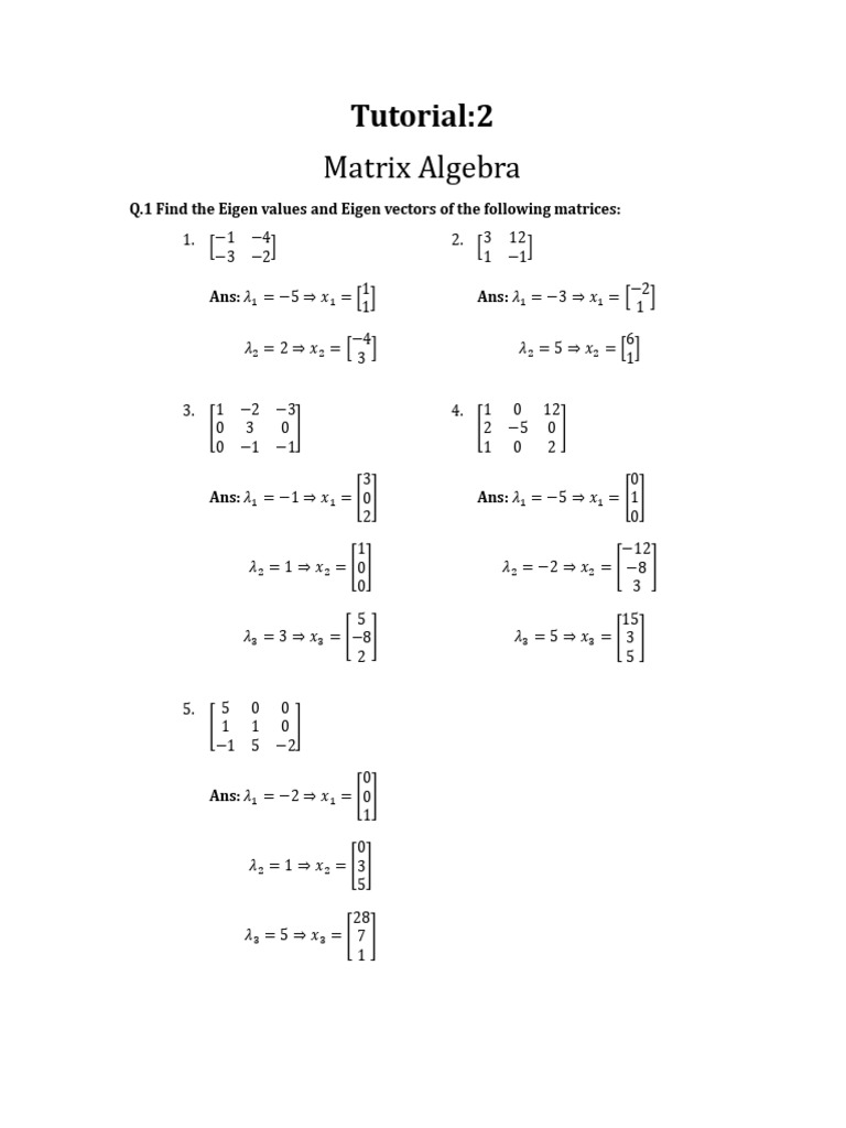 Tutorial - 2 - Matrix Algebra | PDF | Applied Mathematics | Mathematics