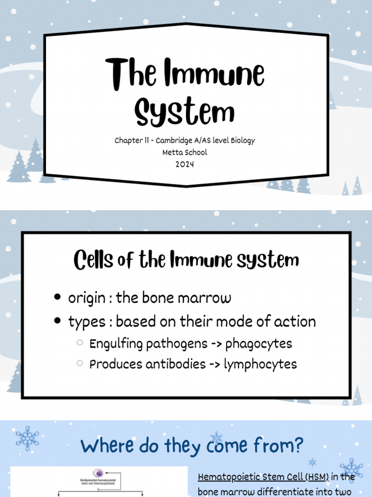 Chapter 11 - The Immune System | PDF