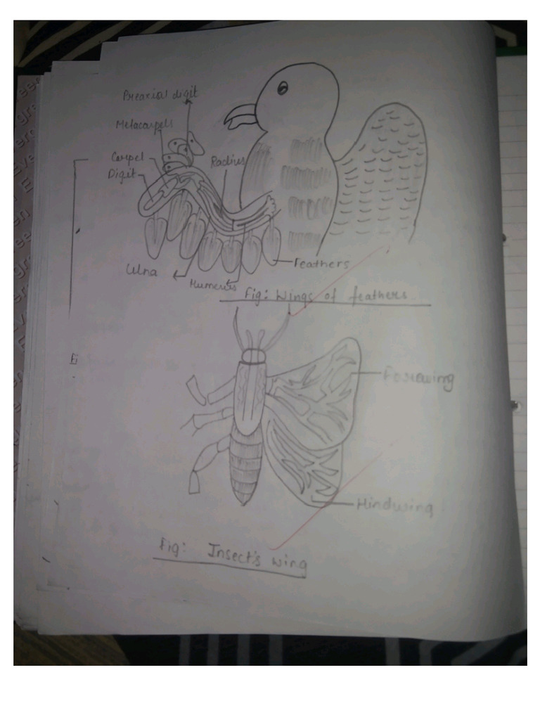 Experiment 06 B | PDF