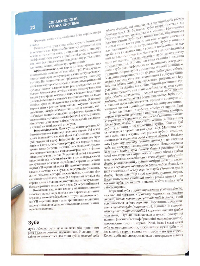 (Cavitas | PDF