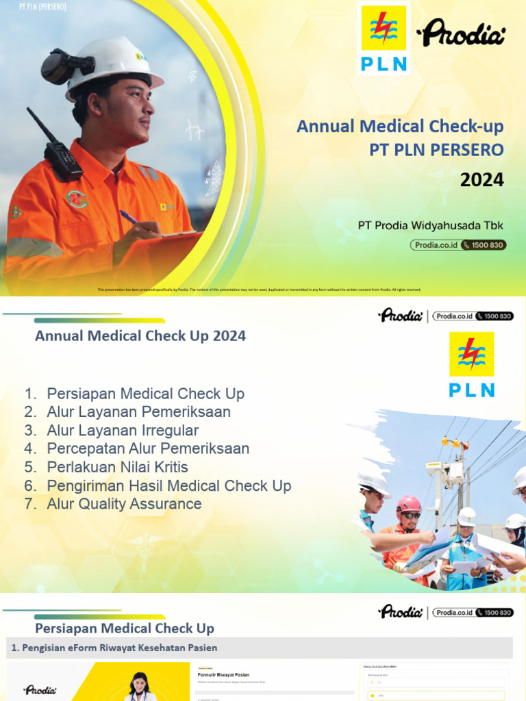 Annual MCU PLN 2024 | PDF