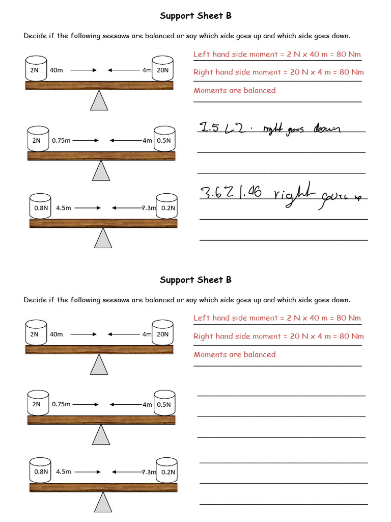Physics Seesaw Balance Guide | PDF