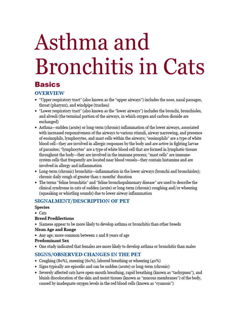 Asthma and Bronchitis in Cats | PDF | Respiratory Tract | Bronchitis