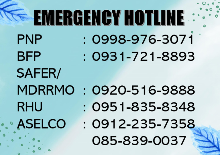 Emergency Hotline | PDF