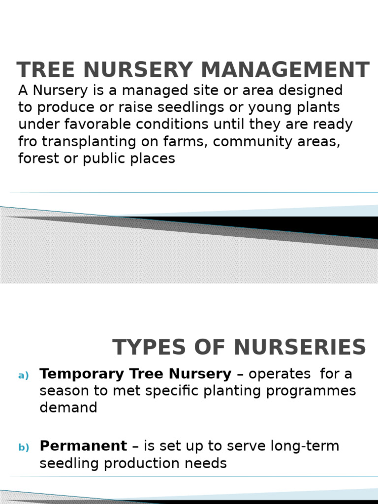 Tree Nursery Management Practices | PDF | Home & Garden