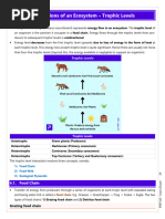 Molecular Basis of Inheritance Class12 | PDF | Dna | Rna