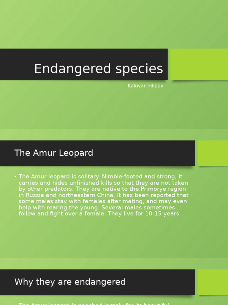Endangered Species | PDF | Travel